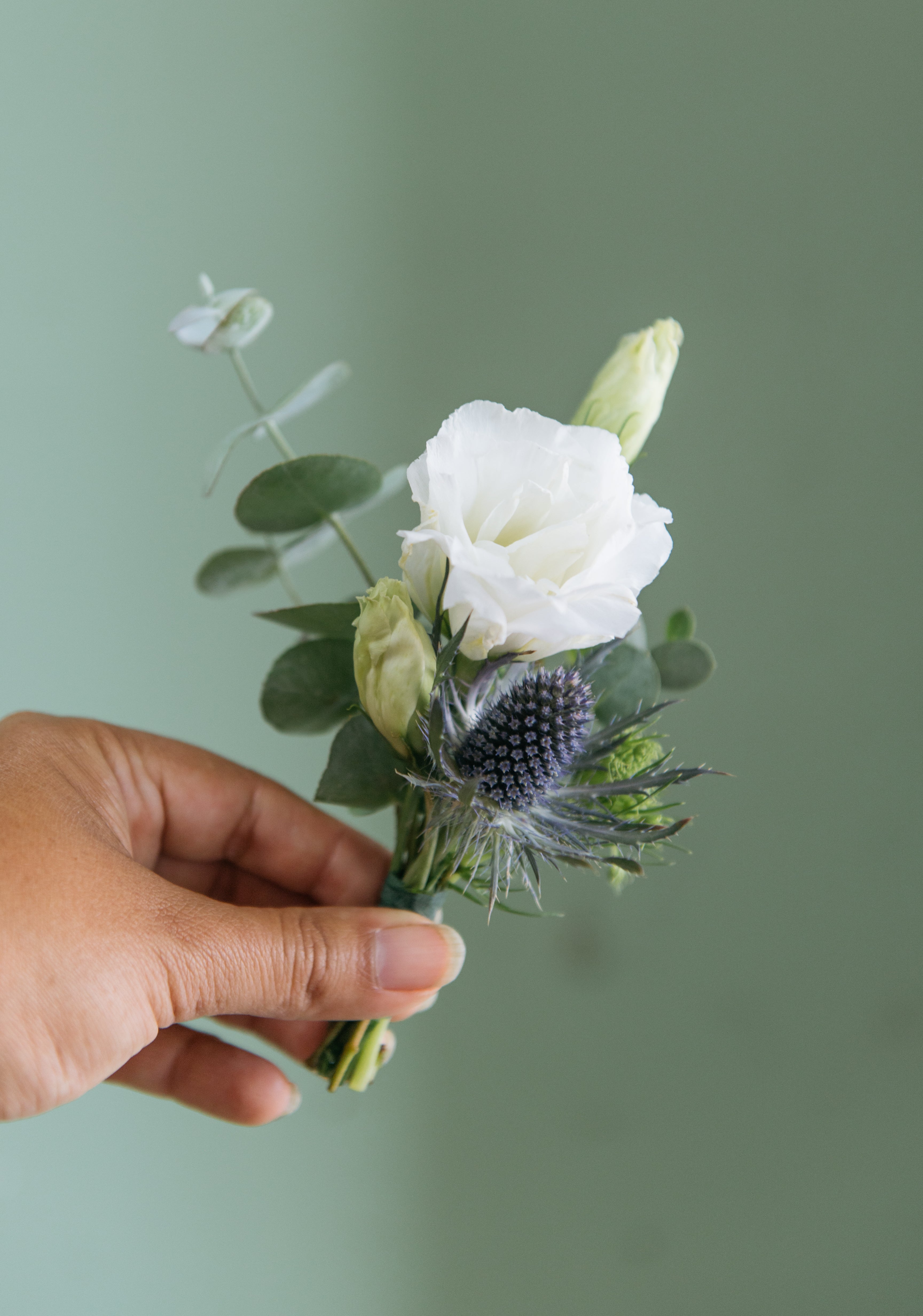 The Promenade Collection – Bay Street Blooms