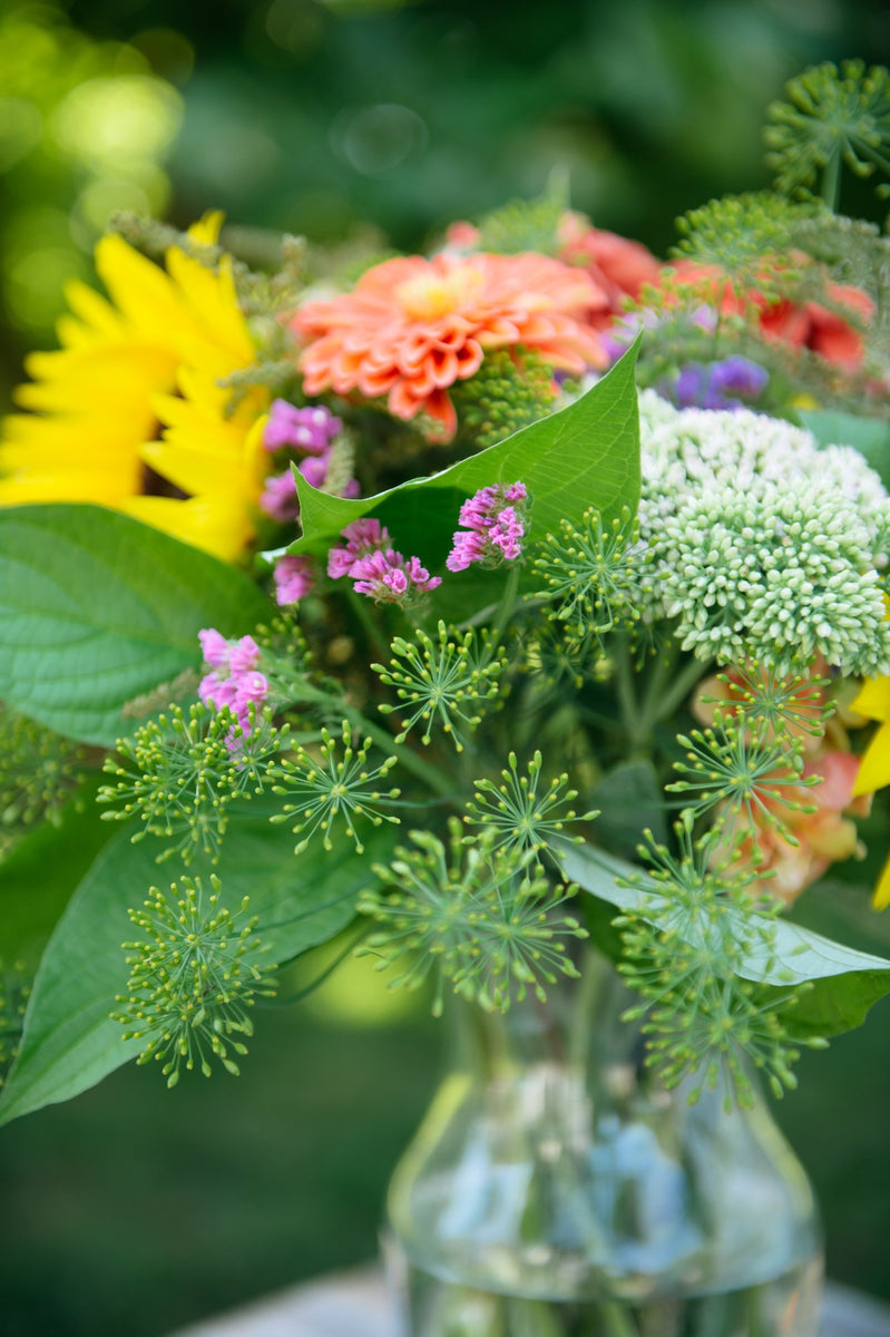 Bay Street Blooms Flower Farm